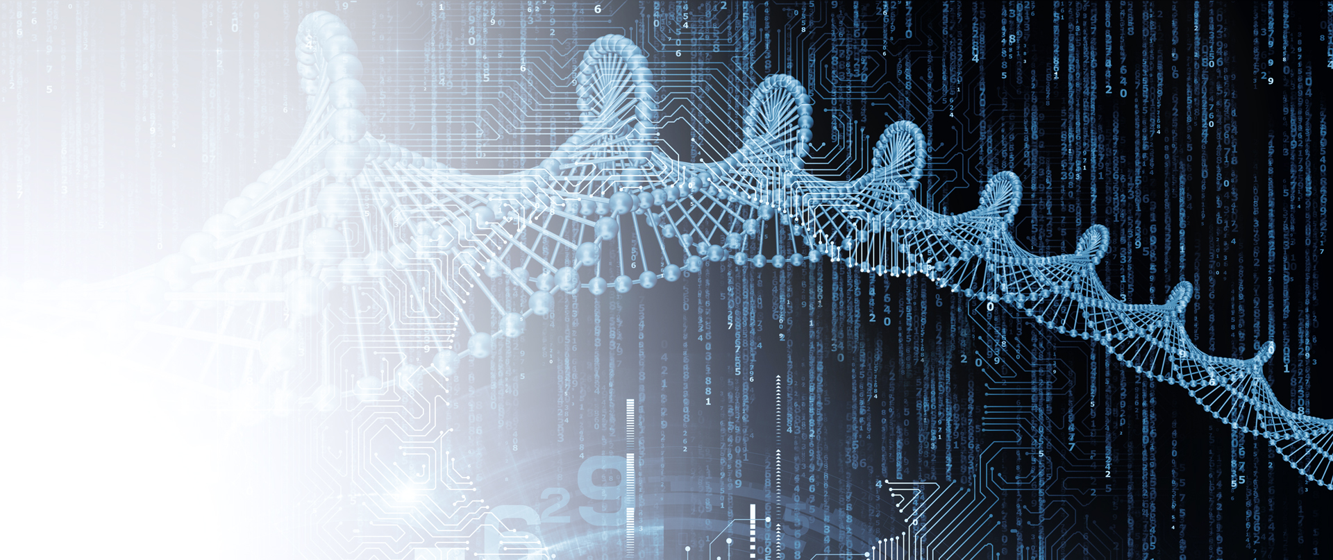 Meet Idylla | Biocartis